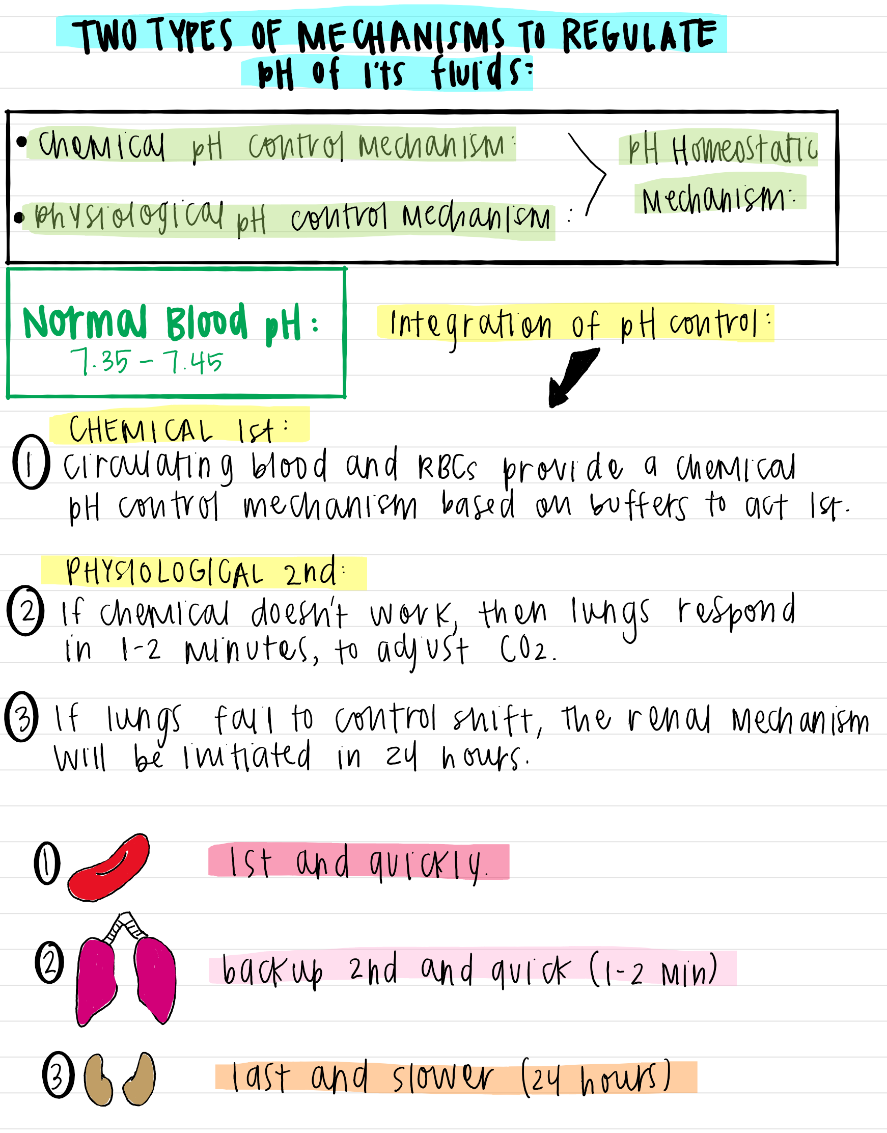 Notes – Learn Me LPN