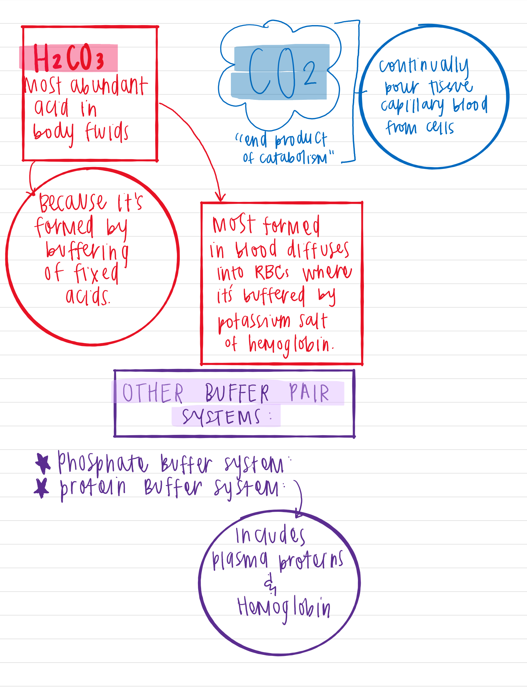 Notes – Learn Me LPN